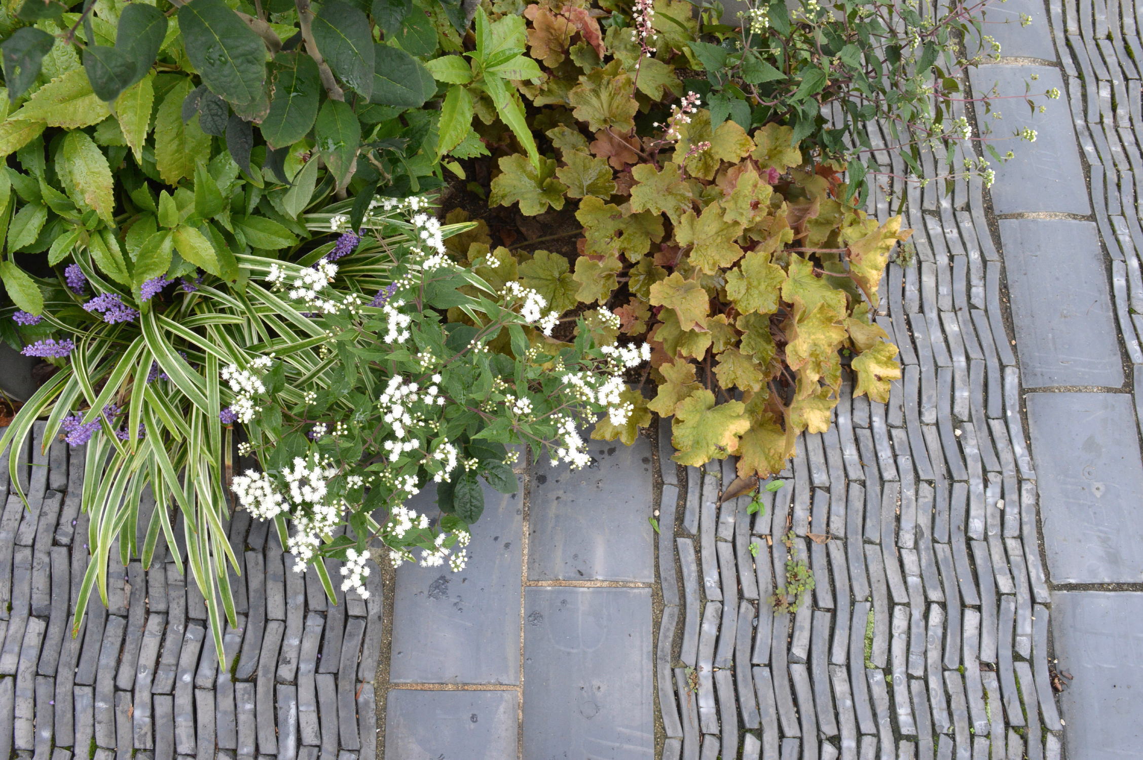 2018年私的総括 | Dear Garden Blog