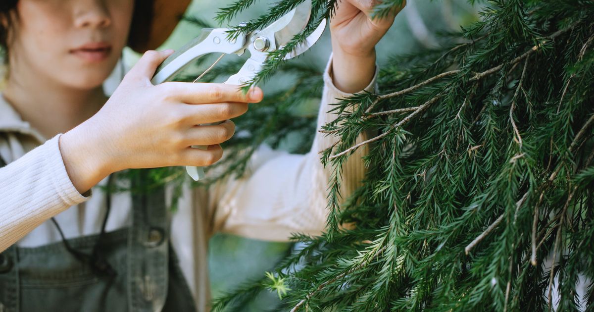 庭師の役割 | Dear Garden Blog